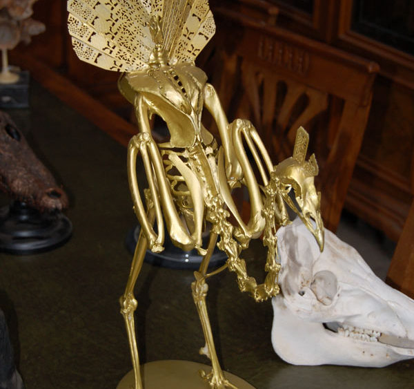 sprookjes » Strange Golden Creature